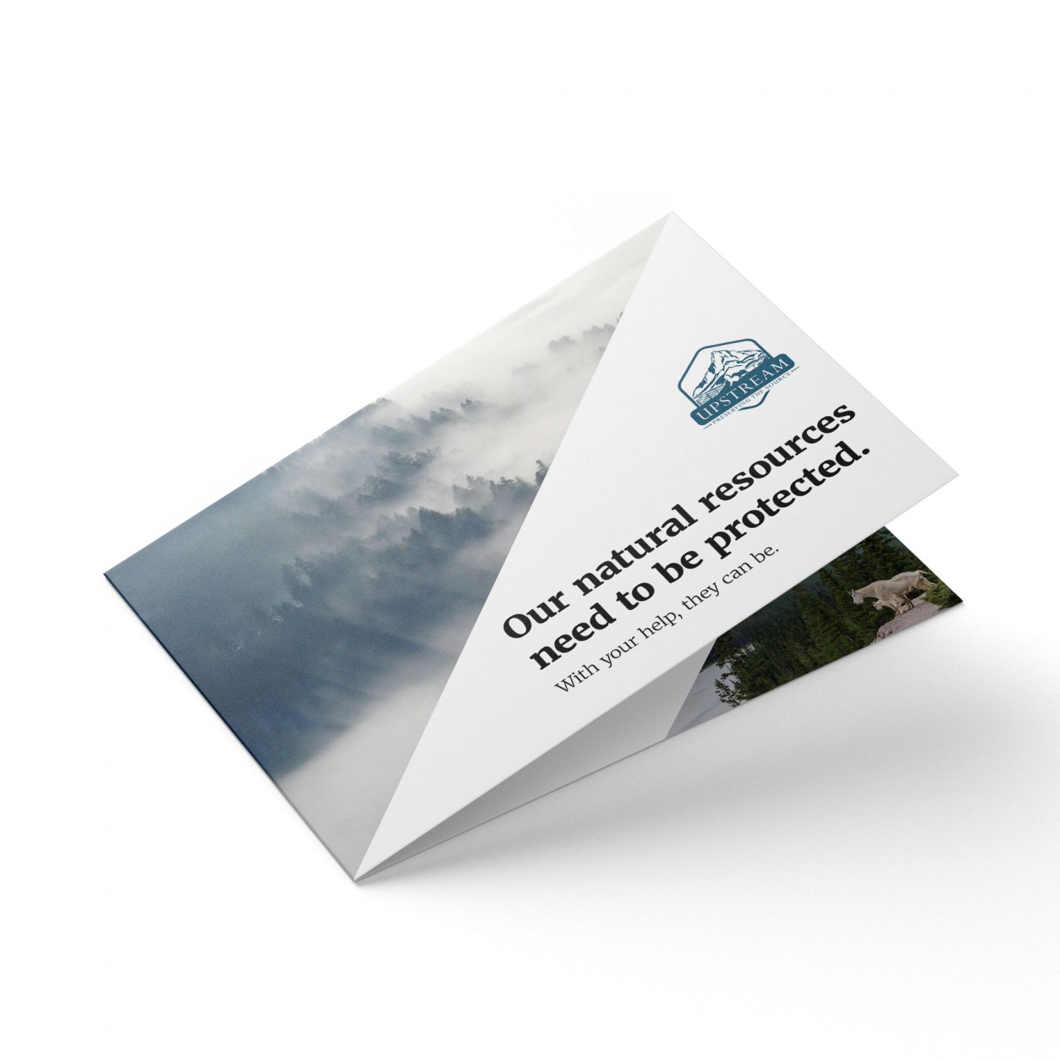 Bi-Fold Brochures - Online Print Shop & Design Services | Print Three ...